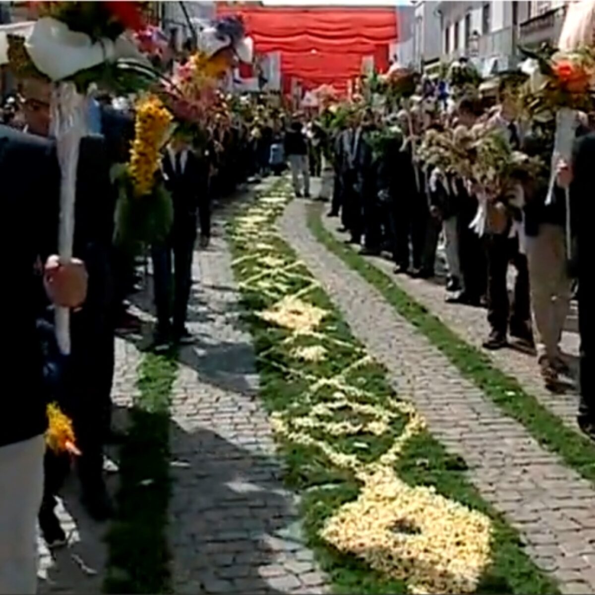 Celebração Pascal enche ruas de São Brás de Alportel - Reportagem TVI