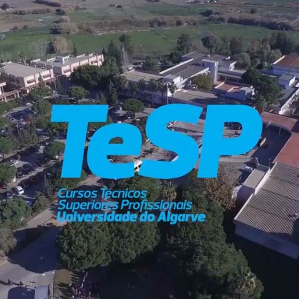 UAlg tem candidaturas abertas para TeSP