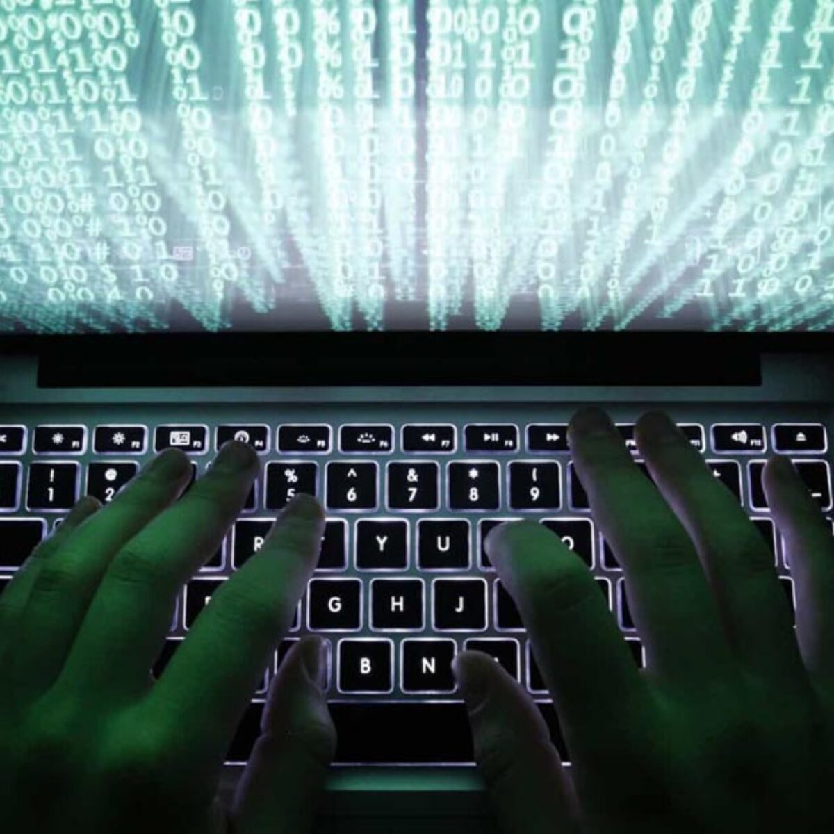 José Tribolet: "a fragilidade" dos "sistemas vitais é assustadora" em ...