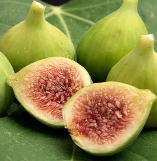 figos | Jornal diariOnline Região Sul. O seu portal de notícias Algarve ...