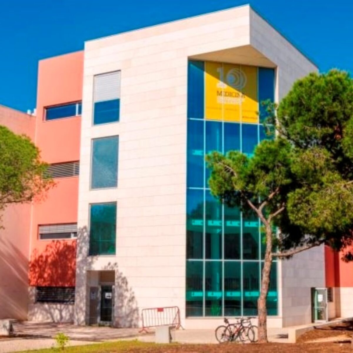 Médico formado pela UAlg obtém melhor classificação na Prova Nacional ...