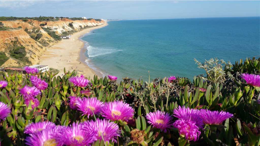 Primavera começou hoje às 03h50
