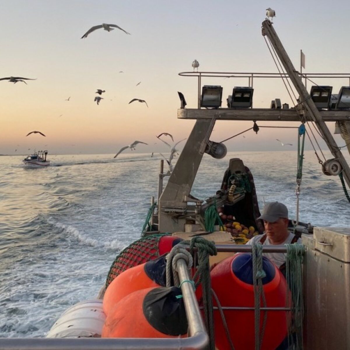 Pesca da sardinha prolongada até ao limite de 6.405 toneladas