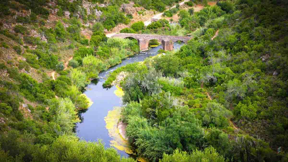 Albufeira assinala Dia Mundial do Turismo com programa dedicado ao ...