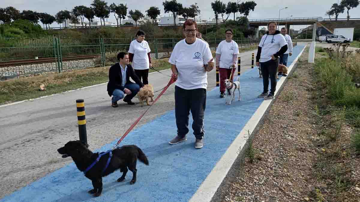 Utentes da ASMAL passeiam animais do canil municipal de Olhão