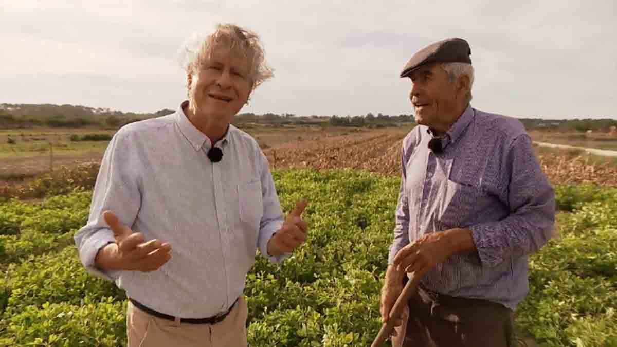 "Coisas do Arco da Velha" em Aljezur: o que são alcagoitas?