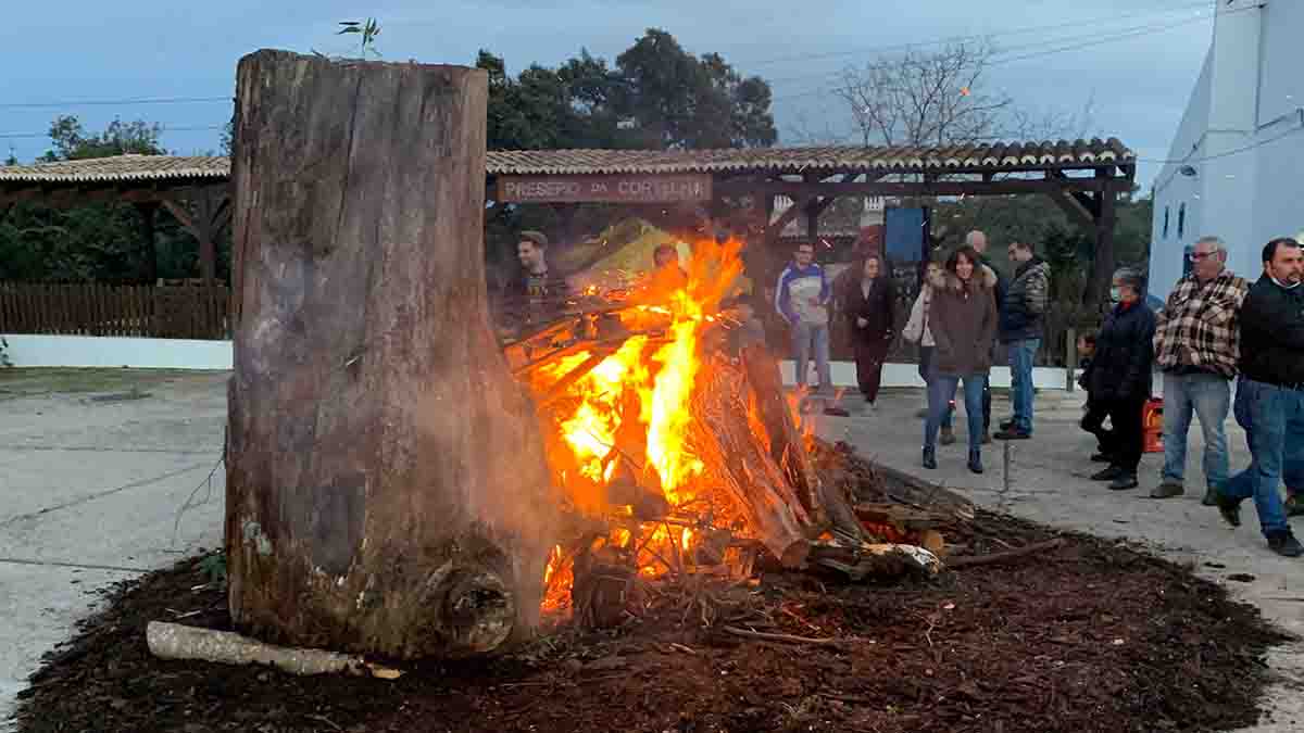 Madeiro de Natal vai ser aceso na Cortelha