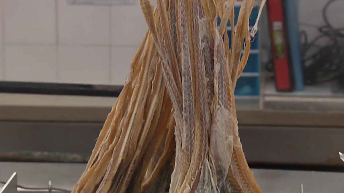 Natal 2022: em Olhão come-se o litão