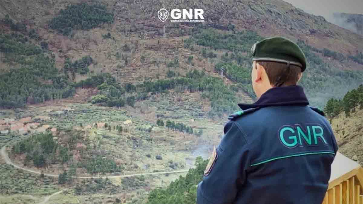 GNR inicia hoje a Campanha Floresta Segura 2025