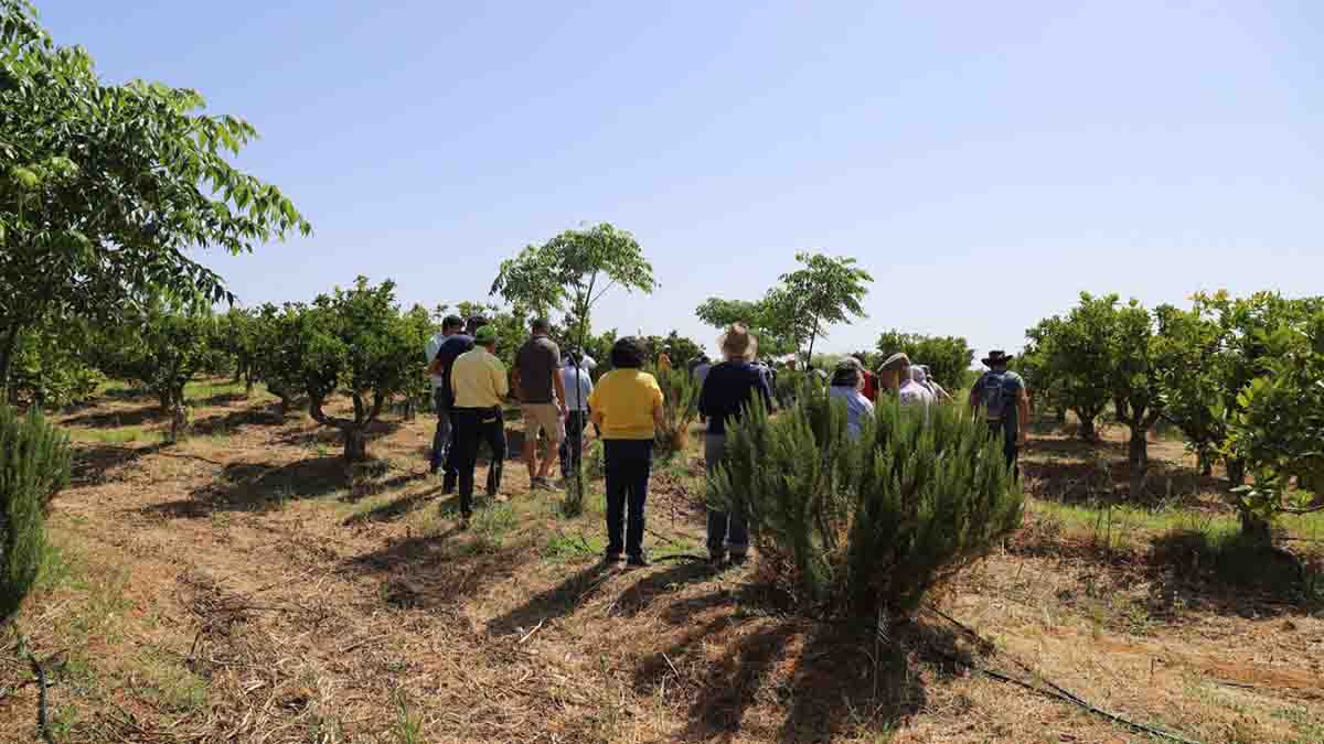 Al-Bio organiza mesa-redonda 'No Trilho da Bio-Região - Agricultura ...