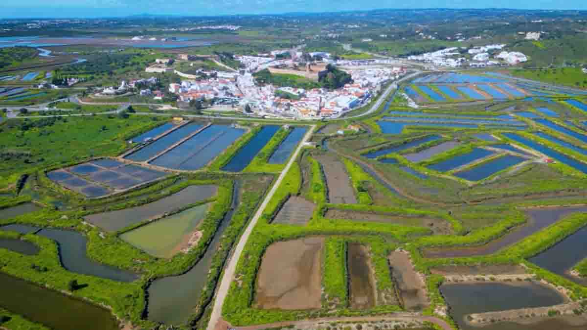 Reserva Natural do Sapal de Castro Marim e VRSA celebrou meio século em ...