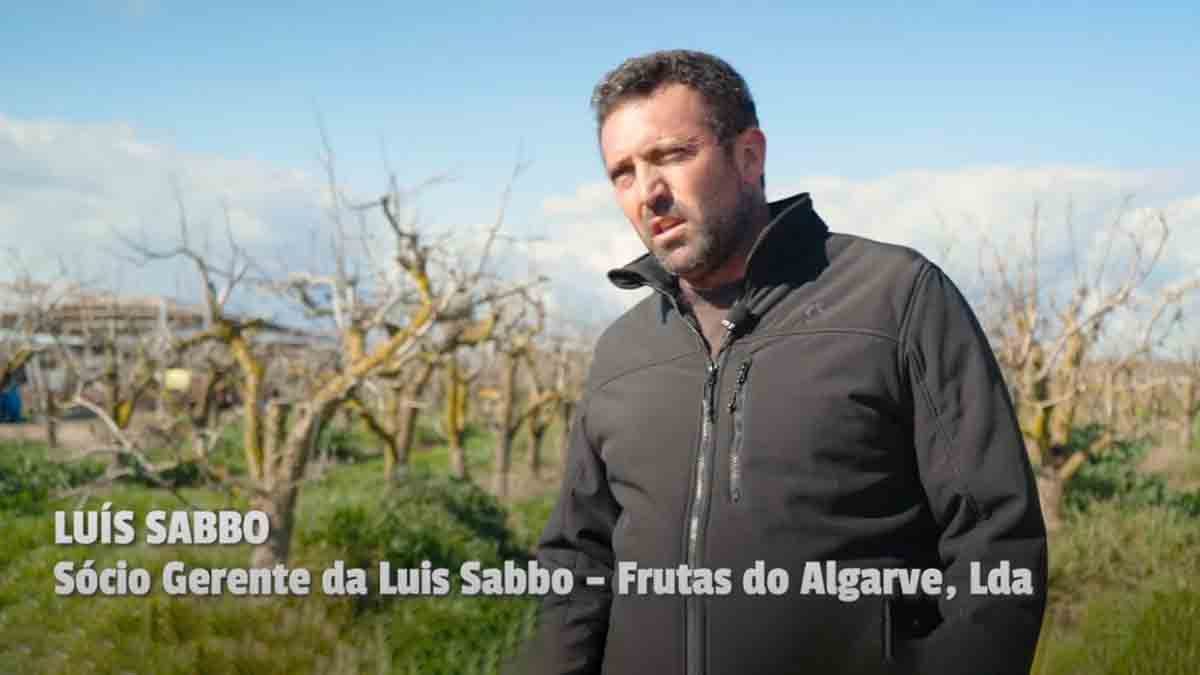 Luís Sabbo – Frutas do Algarve, Lda - Um ativo estratégico para a ...