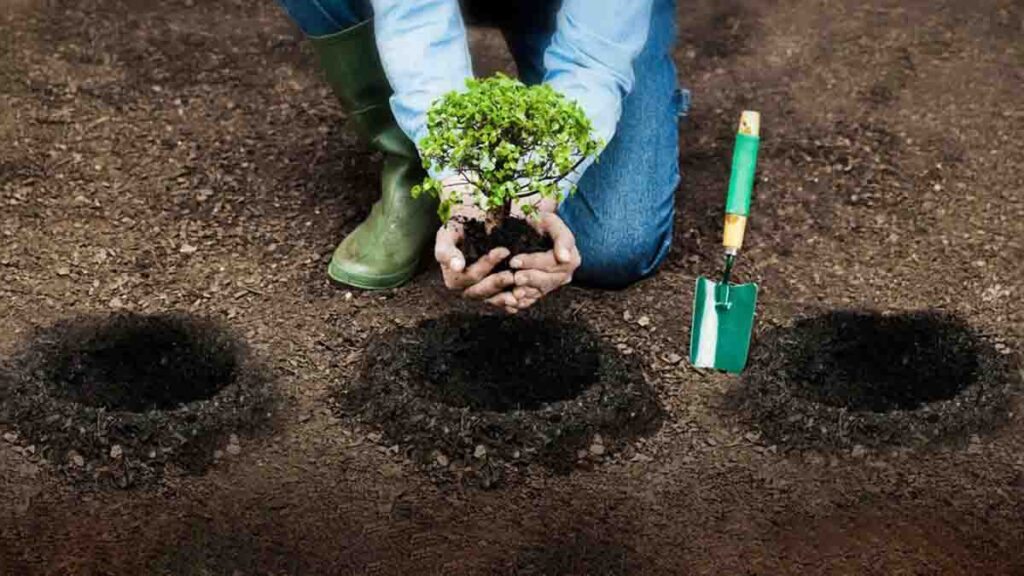 DECO PROteste assinala Dia Nacional da Sustentabilidade com uma missão